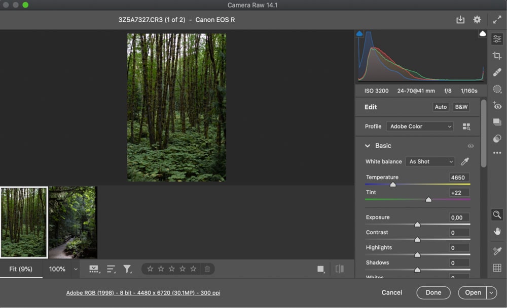How To Copy & Paste Camera Raw Adjustments In Photoshop — Brendan ...