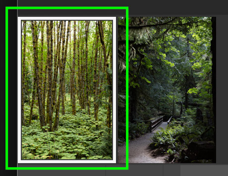 How To Copy & Paste Camera Raw Adjustments In Photoshop — Brendan ...