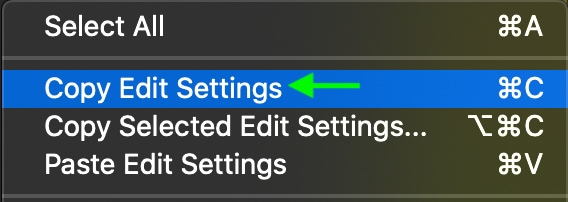 How To Copy & Paste Camera Raw Adjustments In Photoshop — Brendan ...